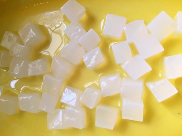 2023 Guide to Nata de Coco What it is, How to Use it, and its Health ...