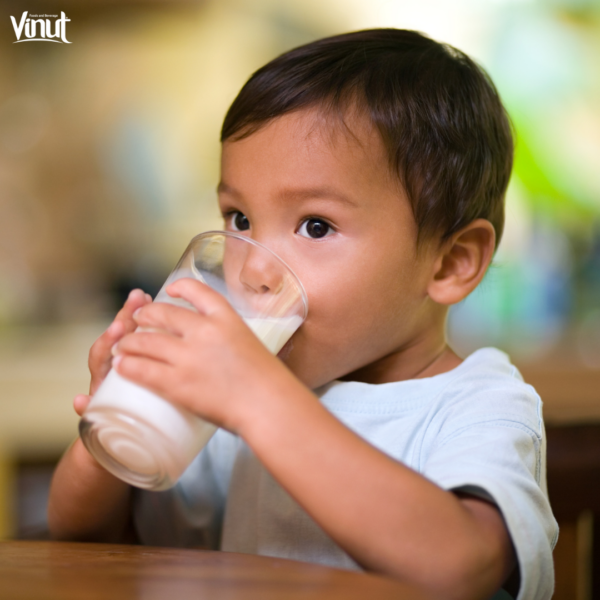 The Best Time to Drink Milk: A Complete Guide - Cojo Cojo